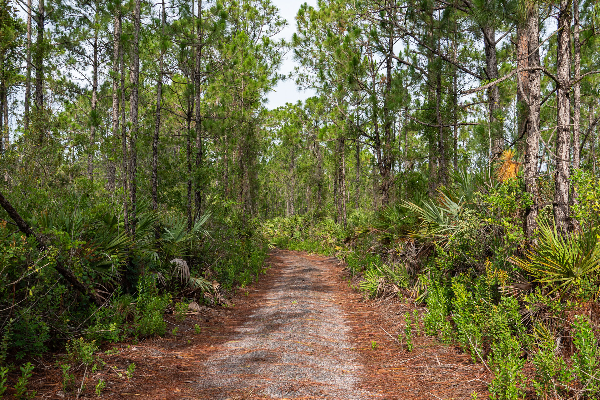 New Homes in Martin County, Florida - Newfield | Mattamy Homes